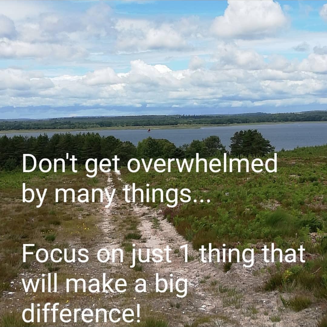 Motivation/ Mindset - Lose And Shape Up Expert